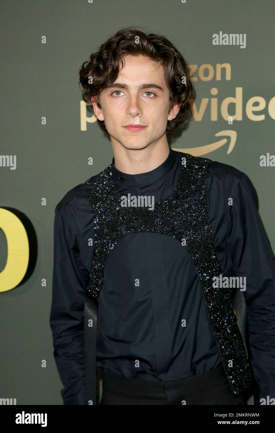 Timothee Chalamet arrives at the Amazon Golden Globes afterparty at the ...