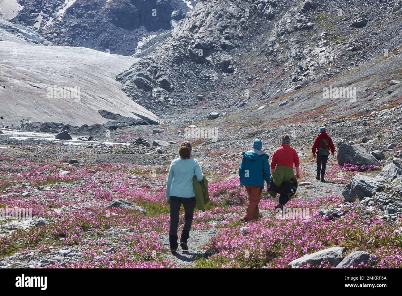 Hiking in the Altai mountains, amazing landscape of the valley of the ...