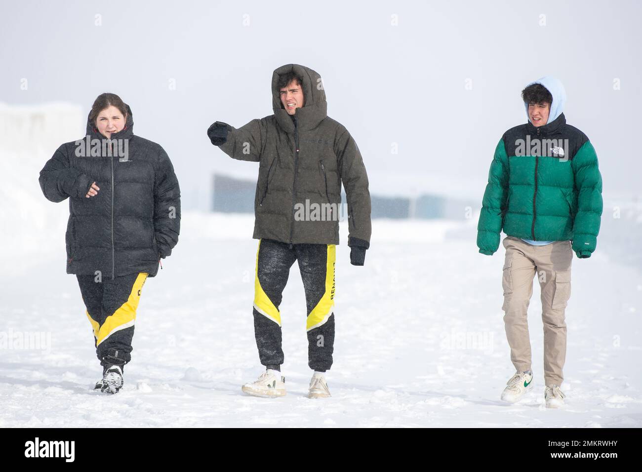 Judge Alex Ferrer Pain And Gain