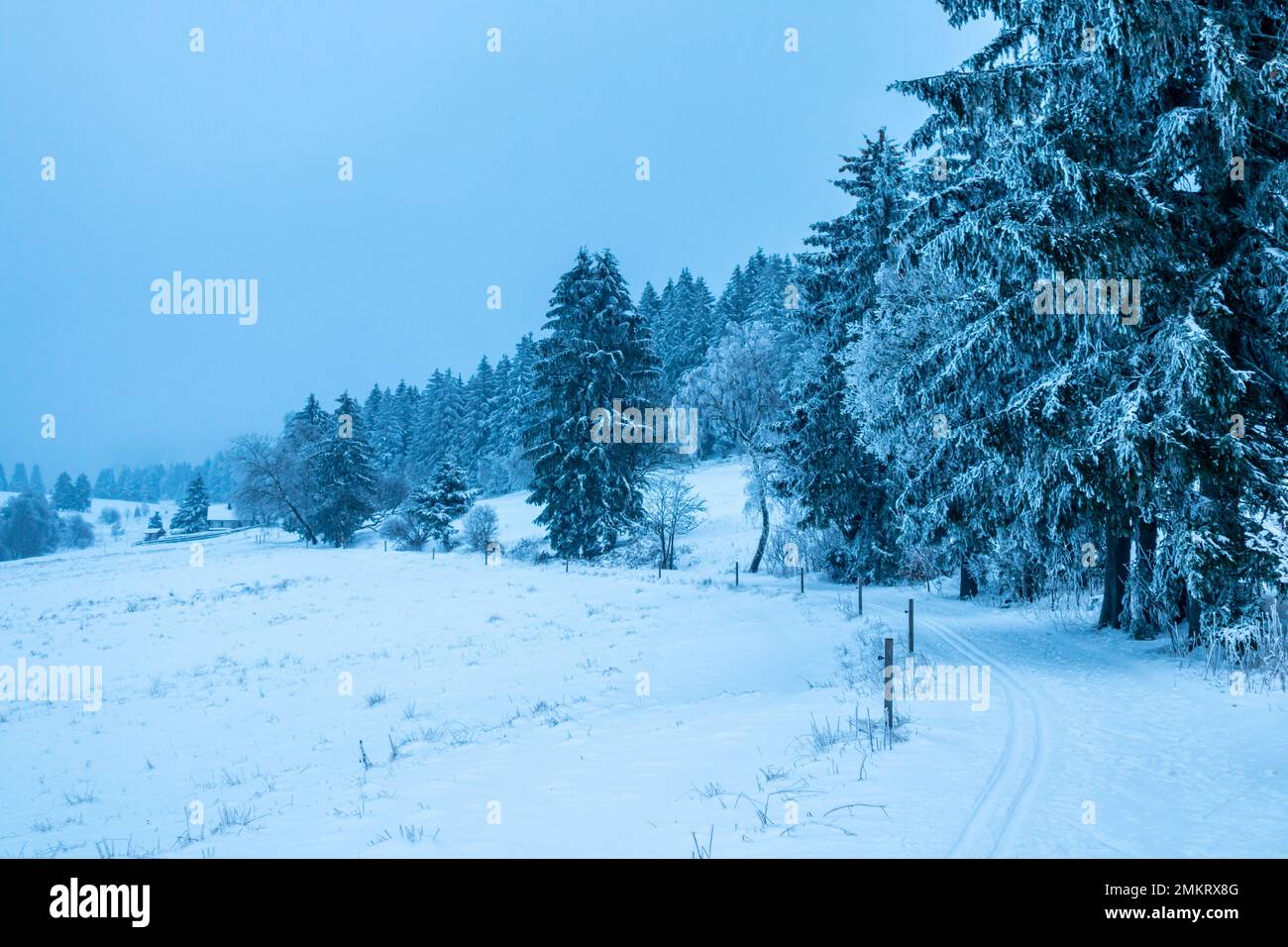 Beautiful winter landscape on the heights of the Thuringian Forest near ...