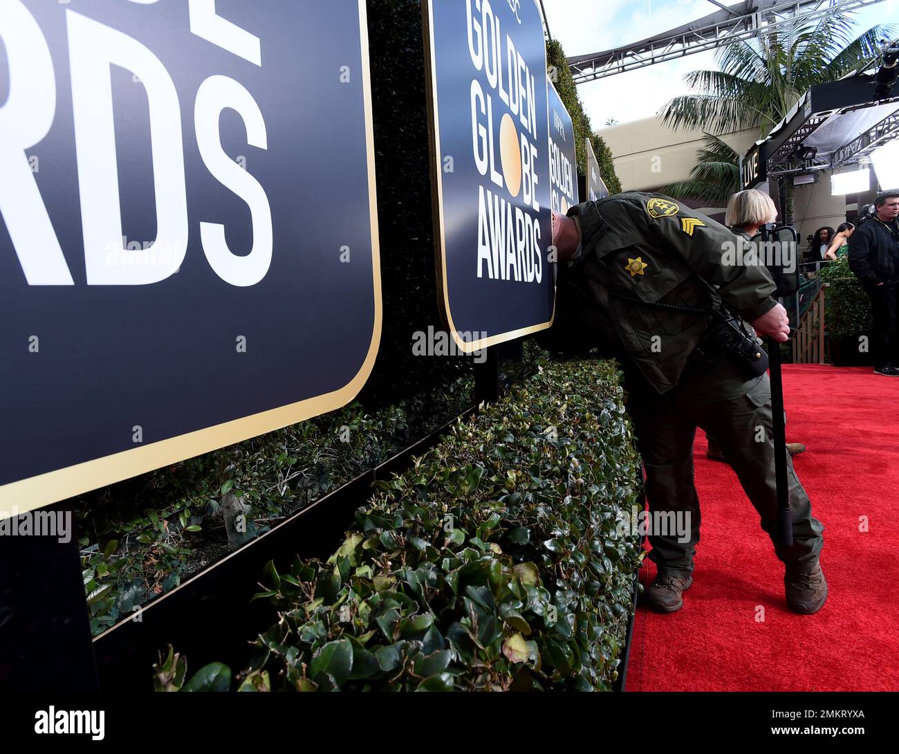 A member of law enforcement screens behind a hedge on the red carpet at ...
