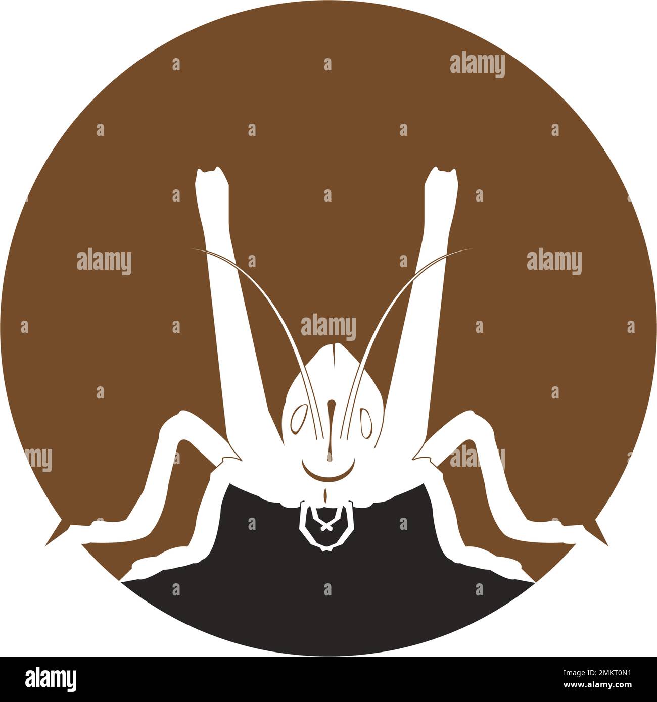 Field Grasshopper Cut Out Stock Images And Pictures Alamy