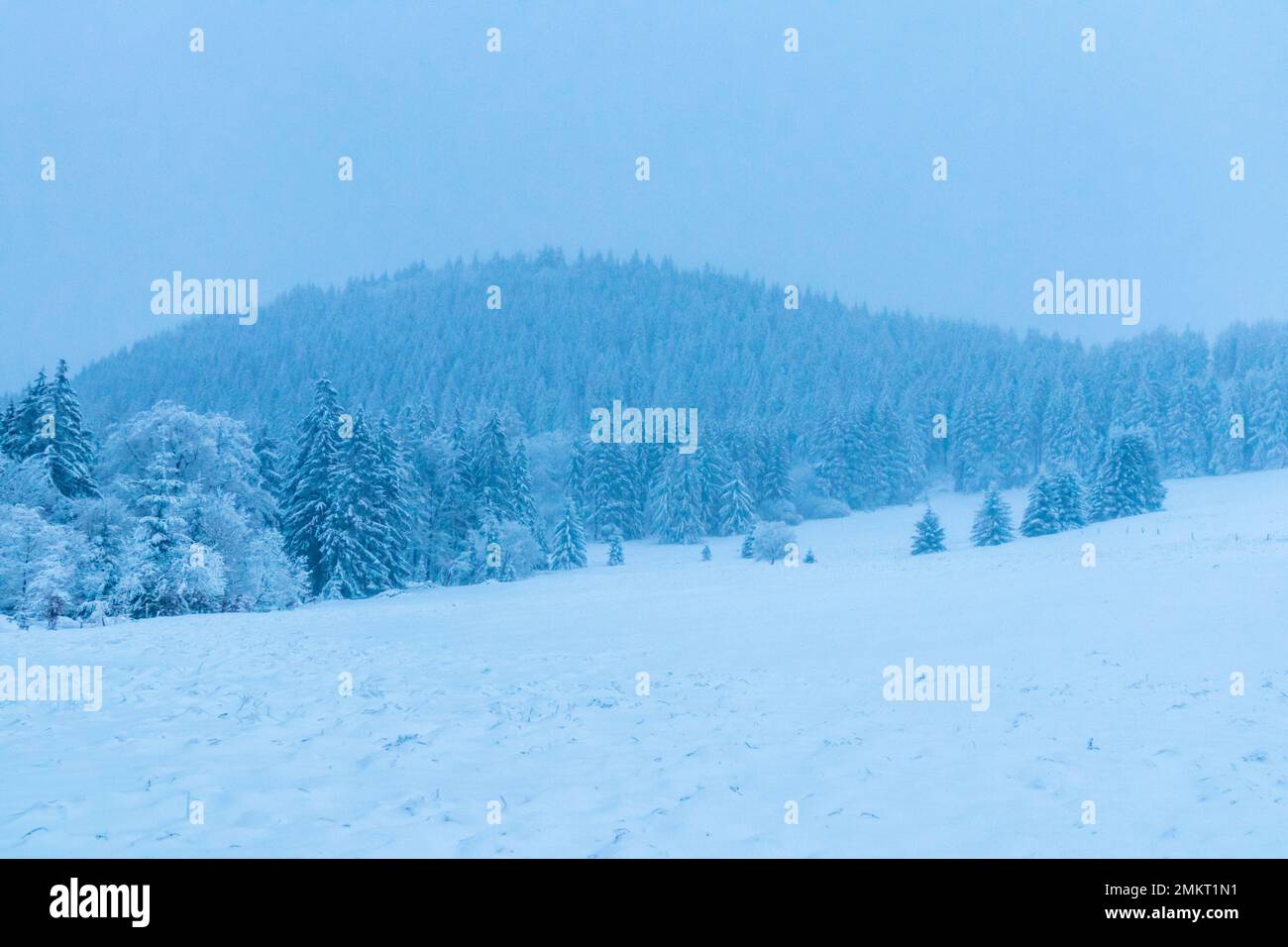 Beautiful winter landscape on the heights of the Thuringian Forest near ...