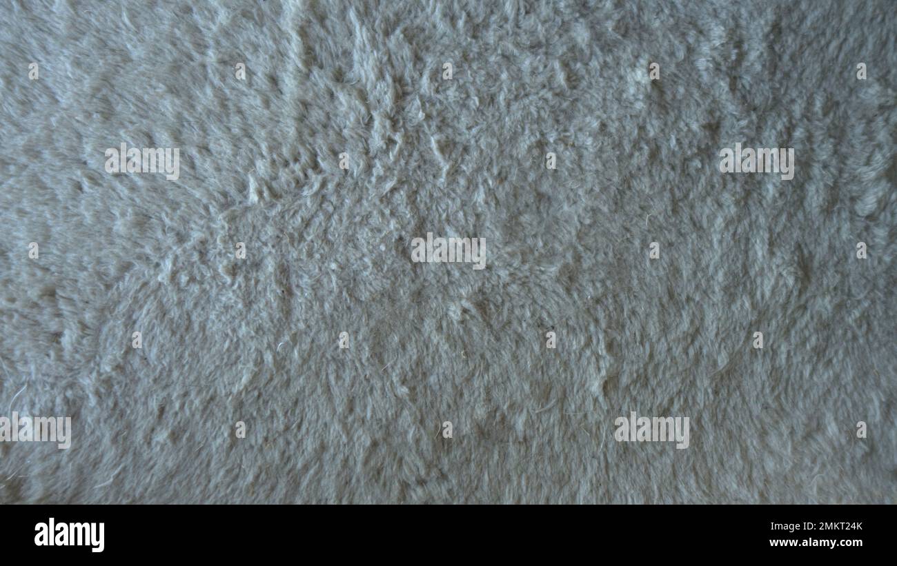 Furry detail hi-res stock photography and images - Alamy