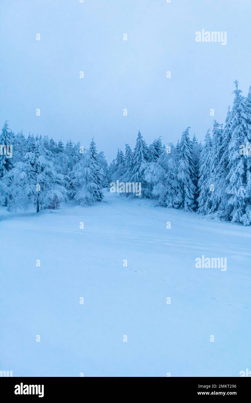 Beautiful winter landscape on the heights of the Thuringian Forest near ...