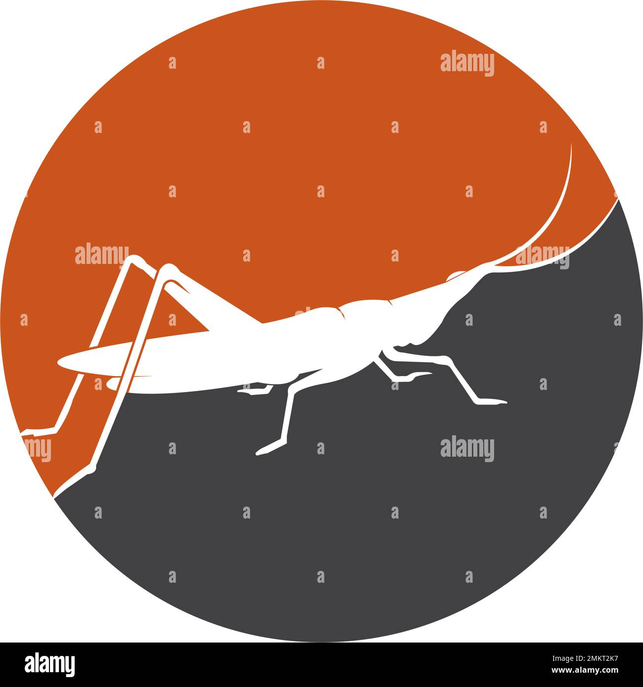 Field Grasshopper Stock Vector Images Alamy