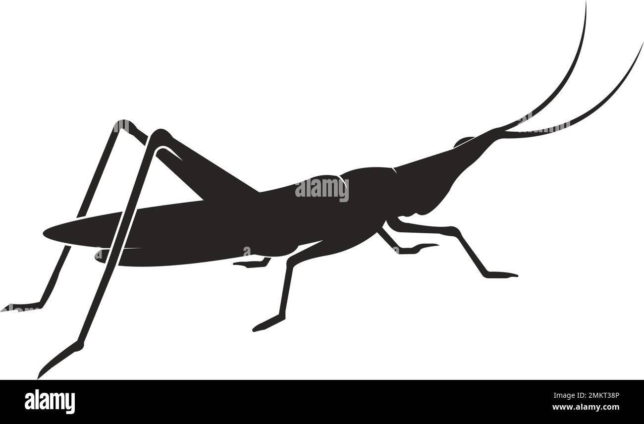 Field Grasshopper Stock Vector Images Alamy