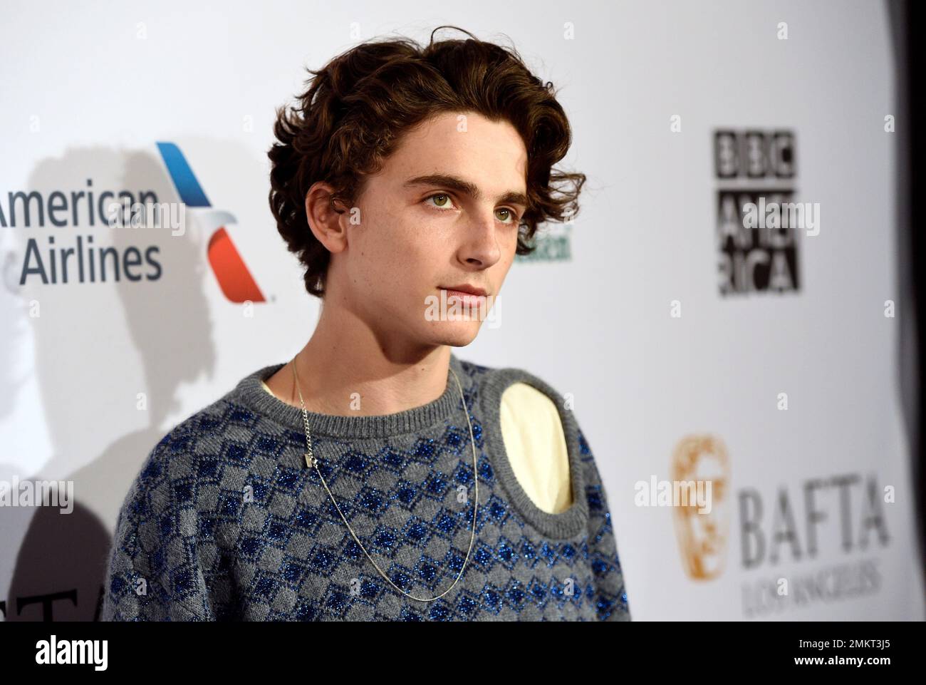 Actor Timothee Chalamet poses at the 2019 BAFTA Tea Party at the Four ...