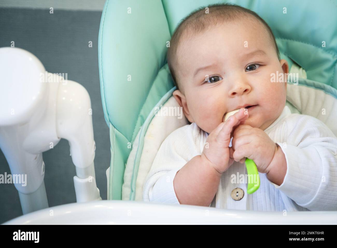 A hungry baby is gnawing on a plastic spoon at the table on a high ...