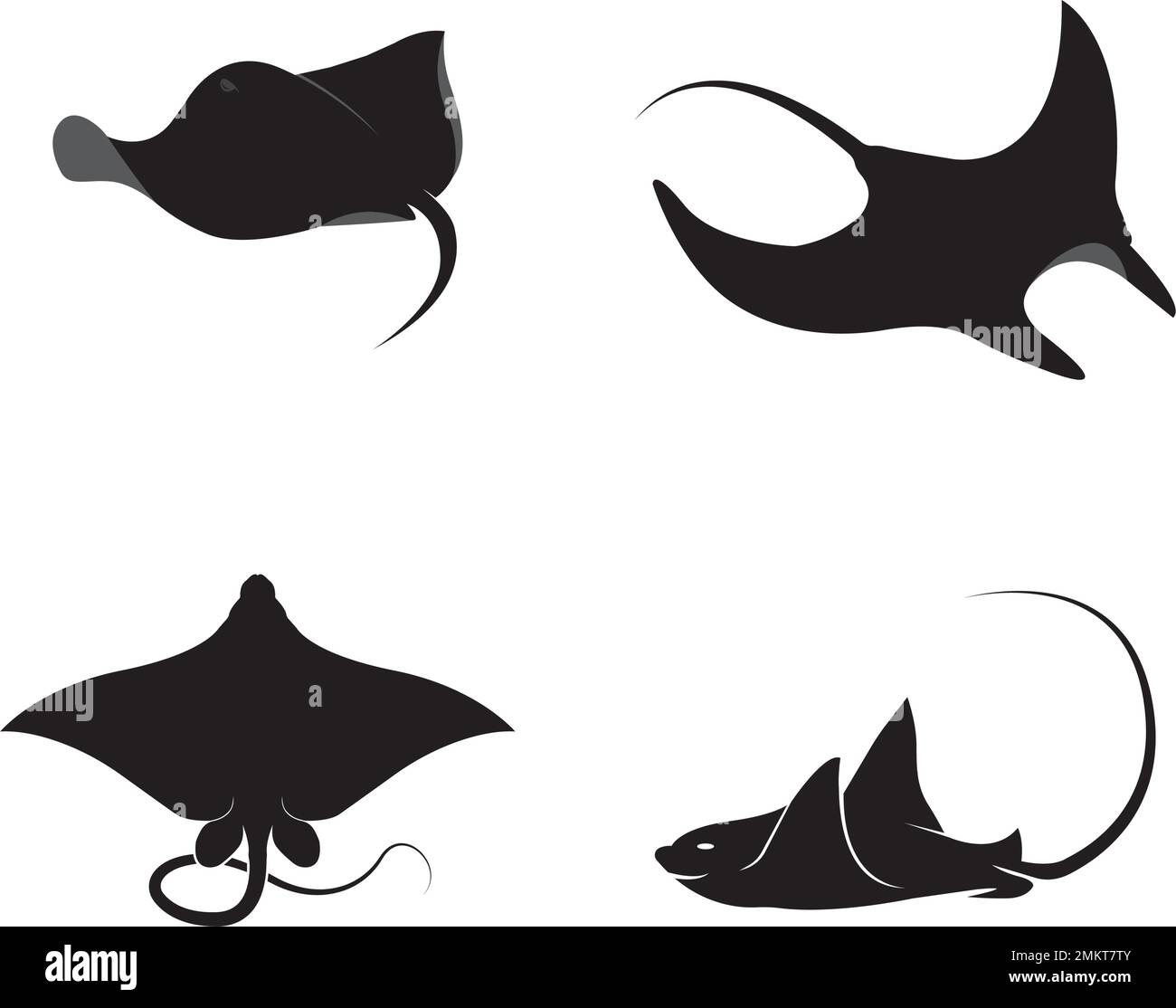 stingray vector icon illustration logo design Stock Vector Image & Art ...