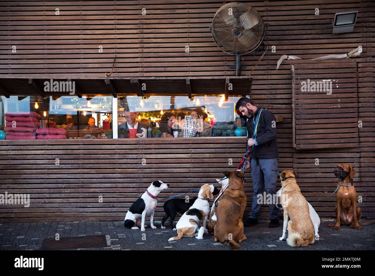 A dog walker with a pack of dogs takes cover from rain, at the port of ...