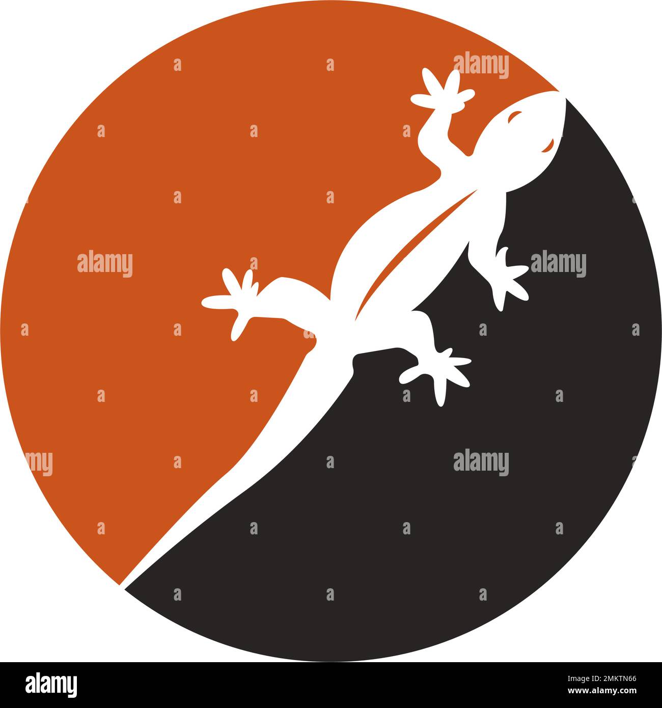 Lizard vector Stock Vector Images - Alamy