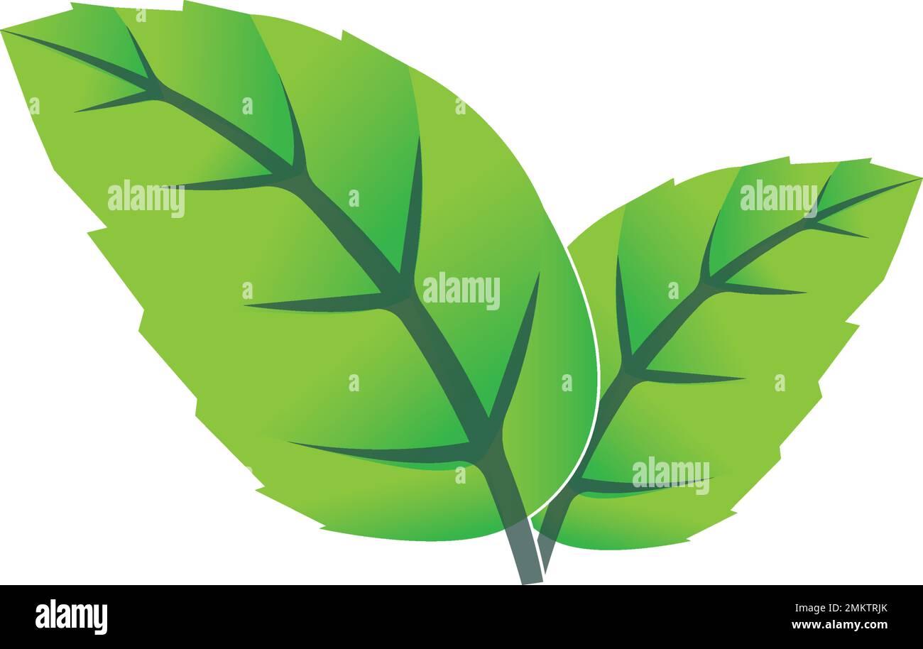 leaf icon vector illustration template design Stock Vector Image & Art ...