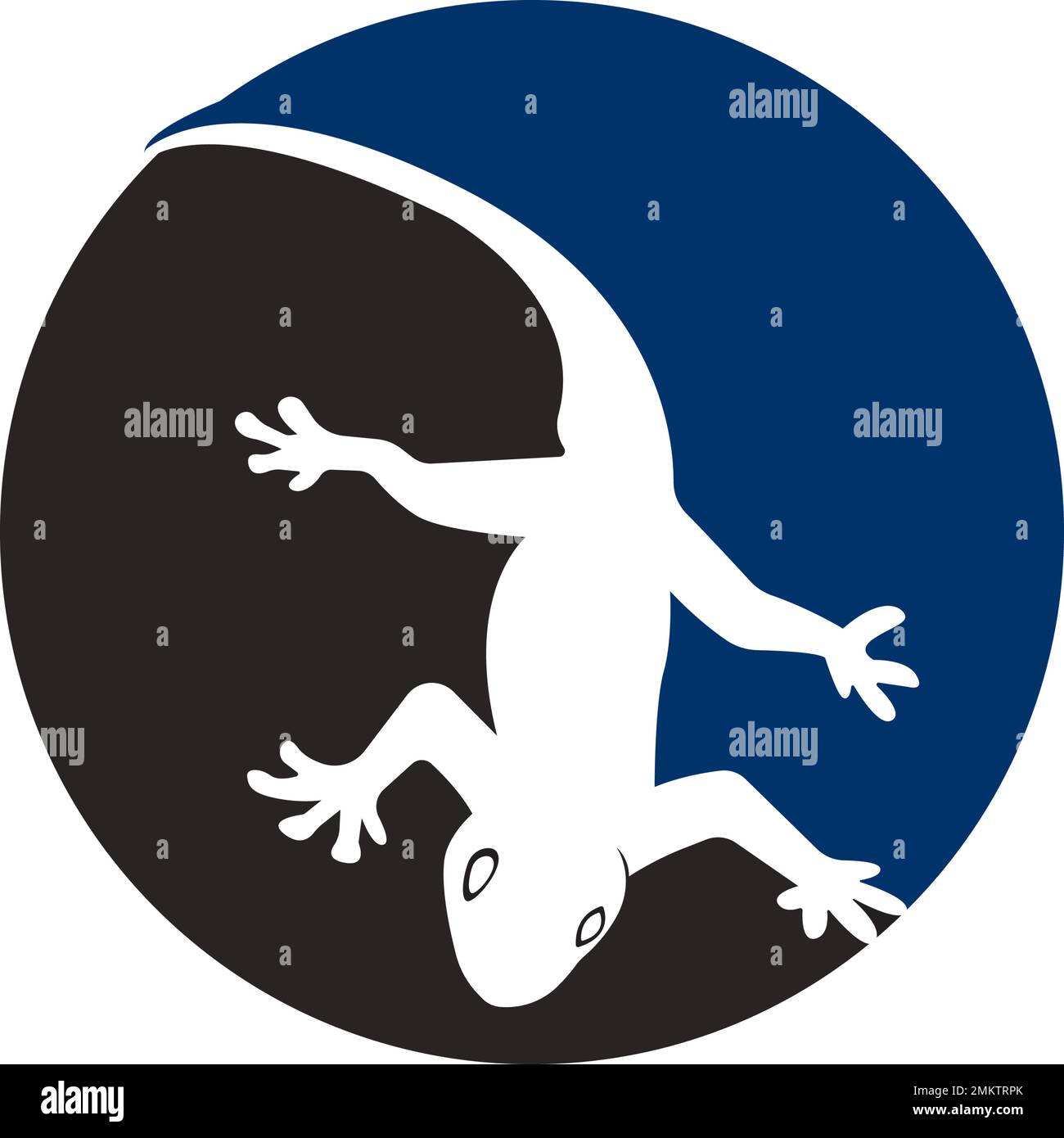 Tropical house gecko Stock Vector Images - Alamy