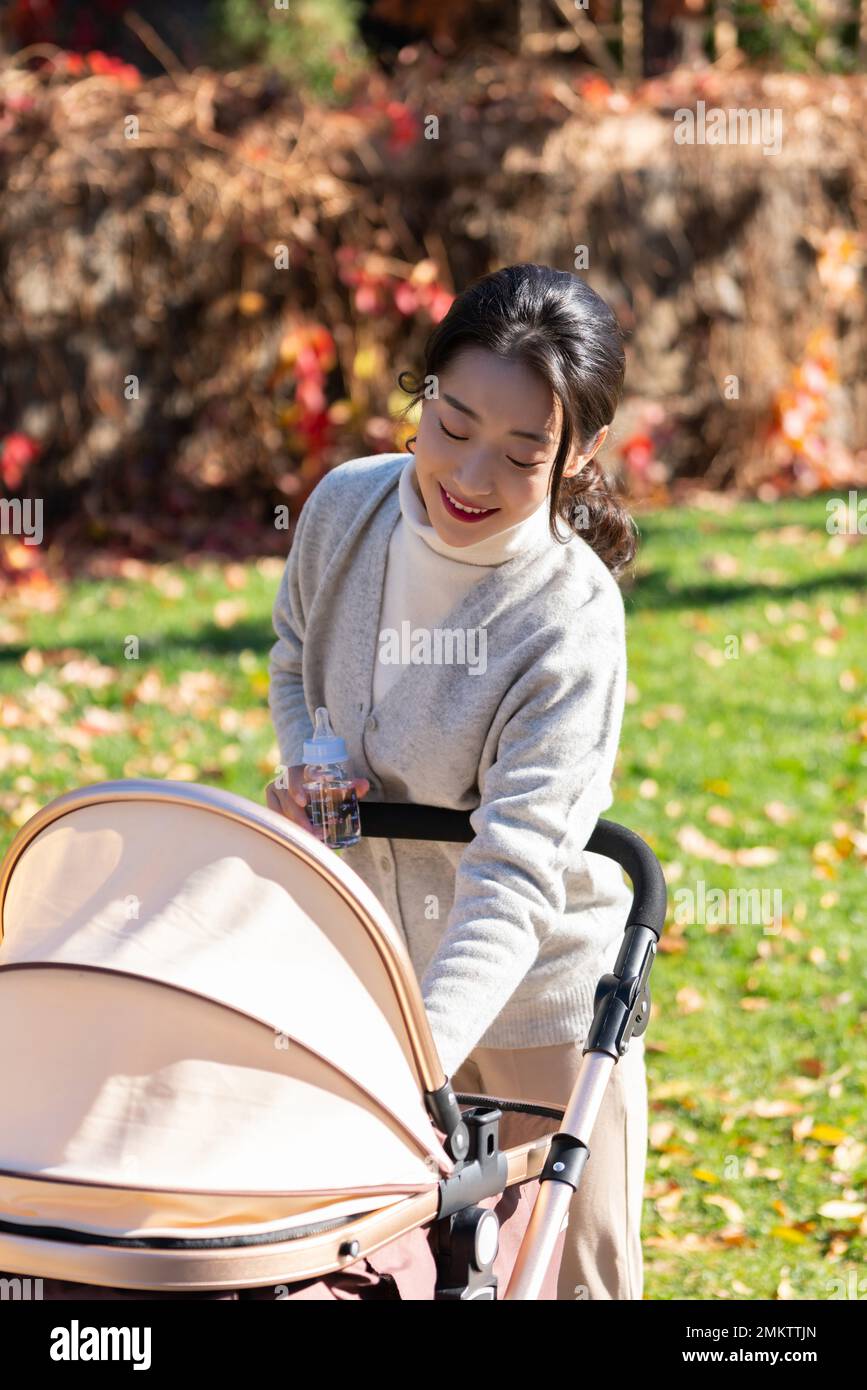 The young mother pushing a stroller for a walk Stock Photo - Alamy