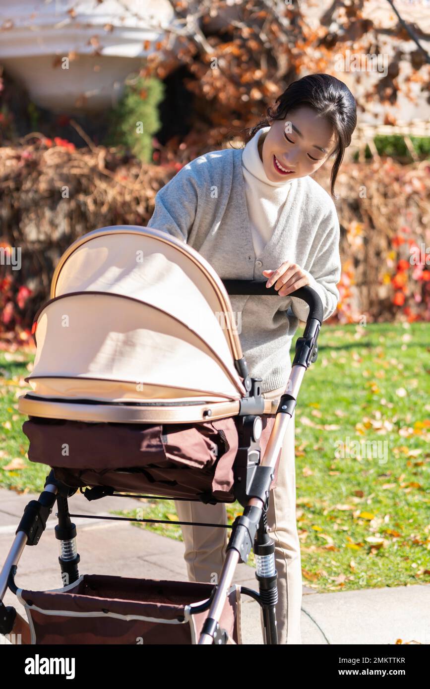 The young mother pushing a stroller for a walk Stock Photo - Alamy