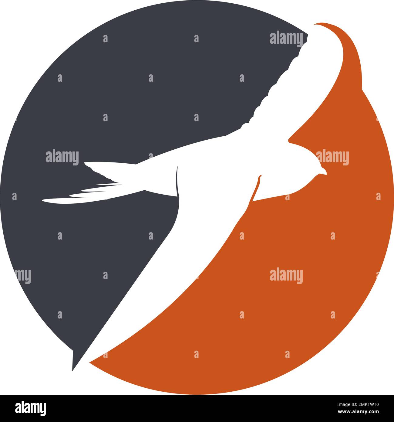 Common Swallow Stock Vector Images Alamy