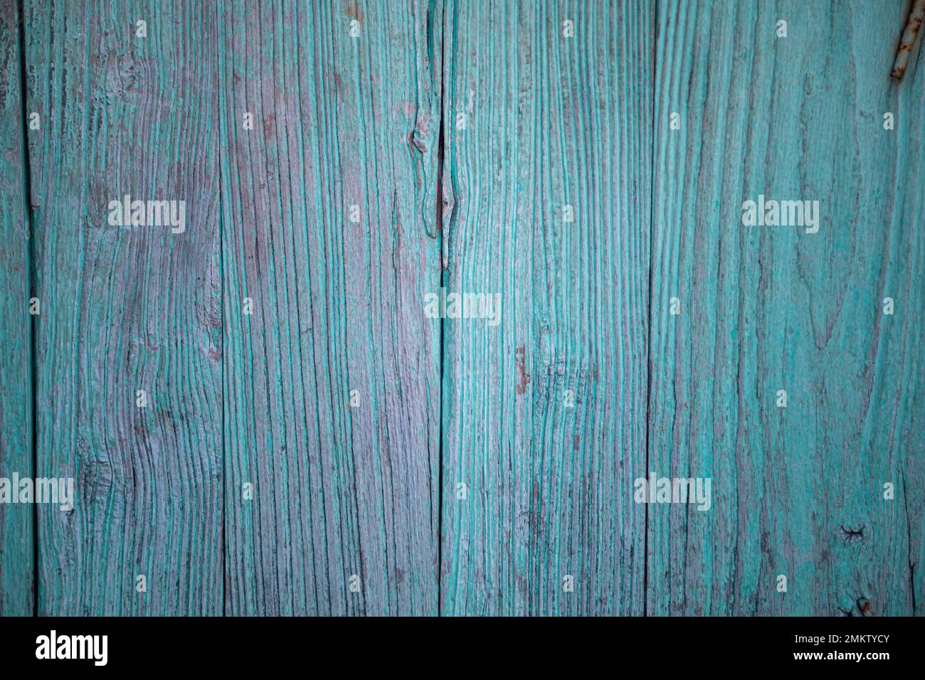 Old door aged by time made of natural wood painted in intense blue ...