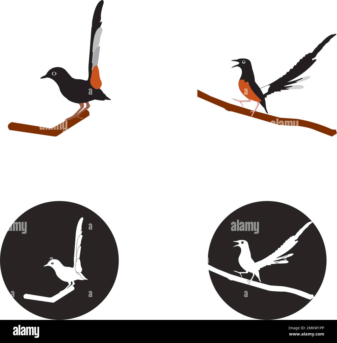 Vector illustration of a super chirping bird. Can be used as a very ...
