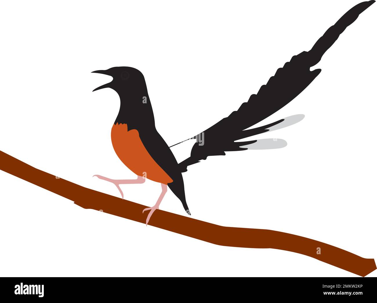 Vector illustration of a super chirping bird. Can be used as a very ...