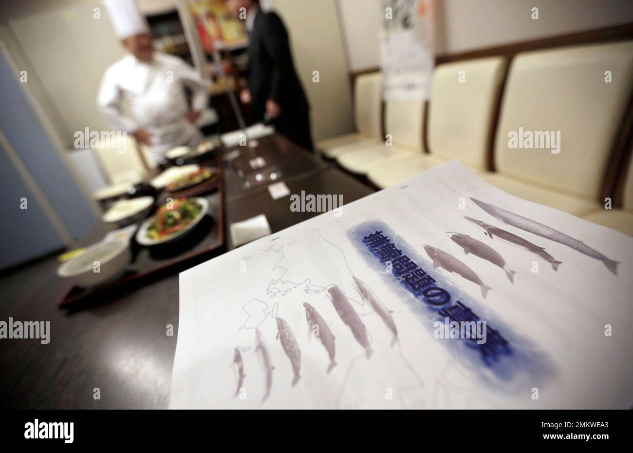 FILE - In this Nov. 19, 2014 file photo, booklets titled "The Truth of ...