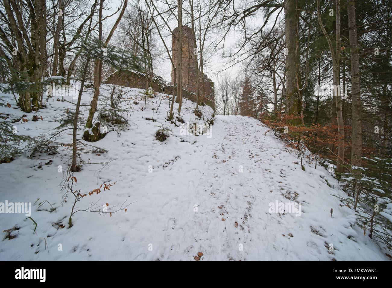 "Bärenfels" castle, the ruins of a hilltop castle at 702.5 m. Built ...
