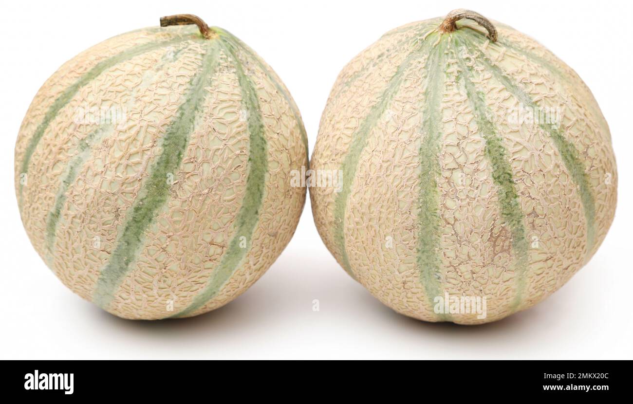 Cantaloupe or rockmelon over white background Stock Photo - Alamy