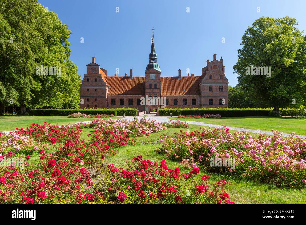 Flowering roses in a park in front of the baroque brick façade of ...