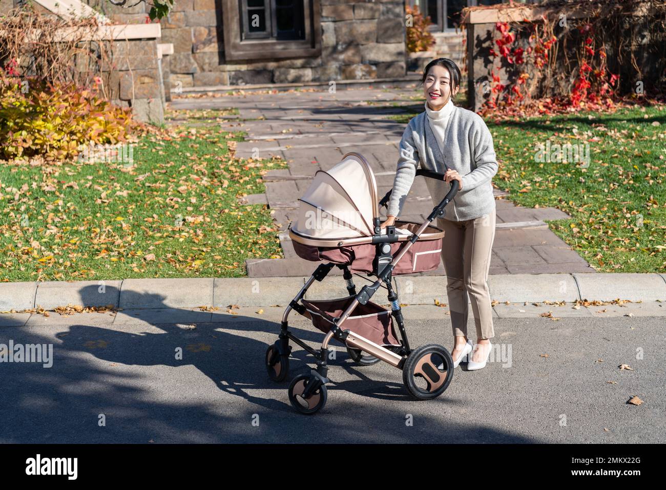Young mother pushing a stroller for a walk Stock Photo - Alamy