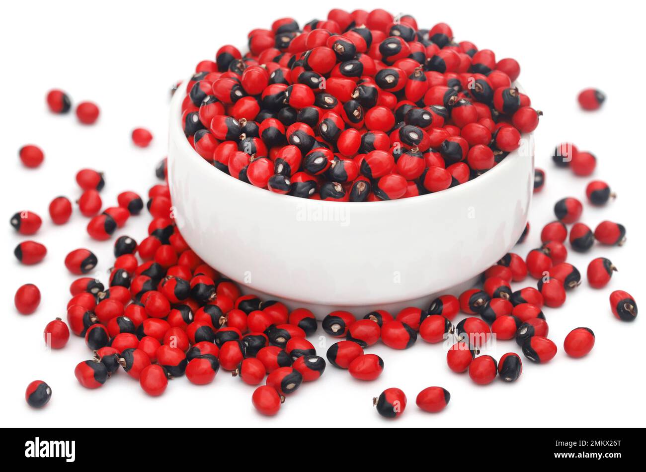 Abrus precatorius or Indian liquorice Seeds Stock Photo - Alamy