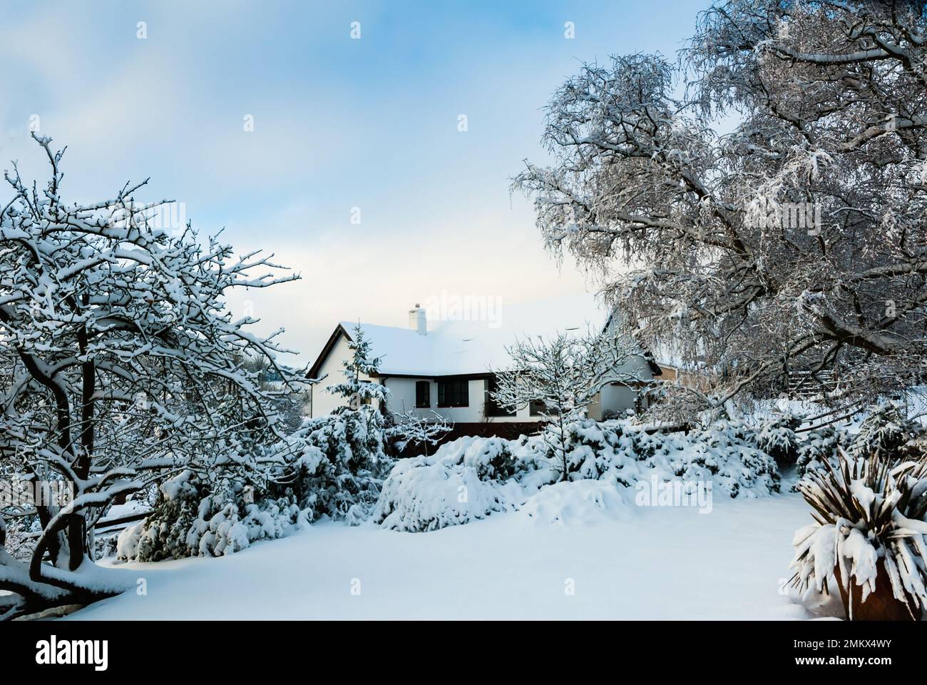 Snow in devon hi-res stock photography and images - Alamy