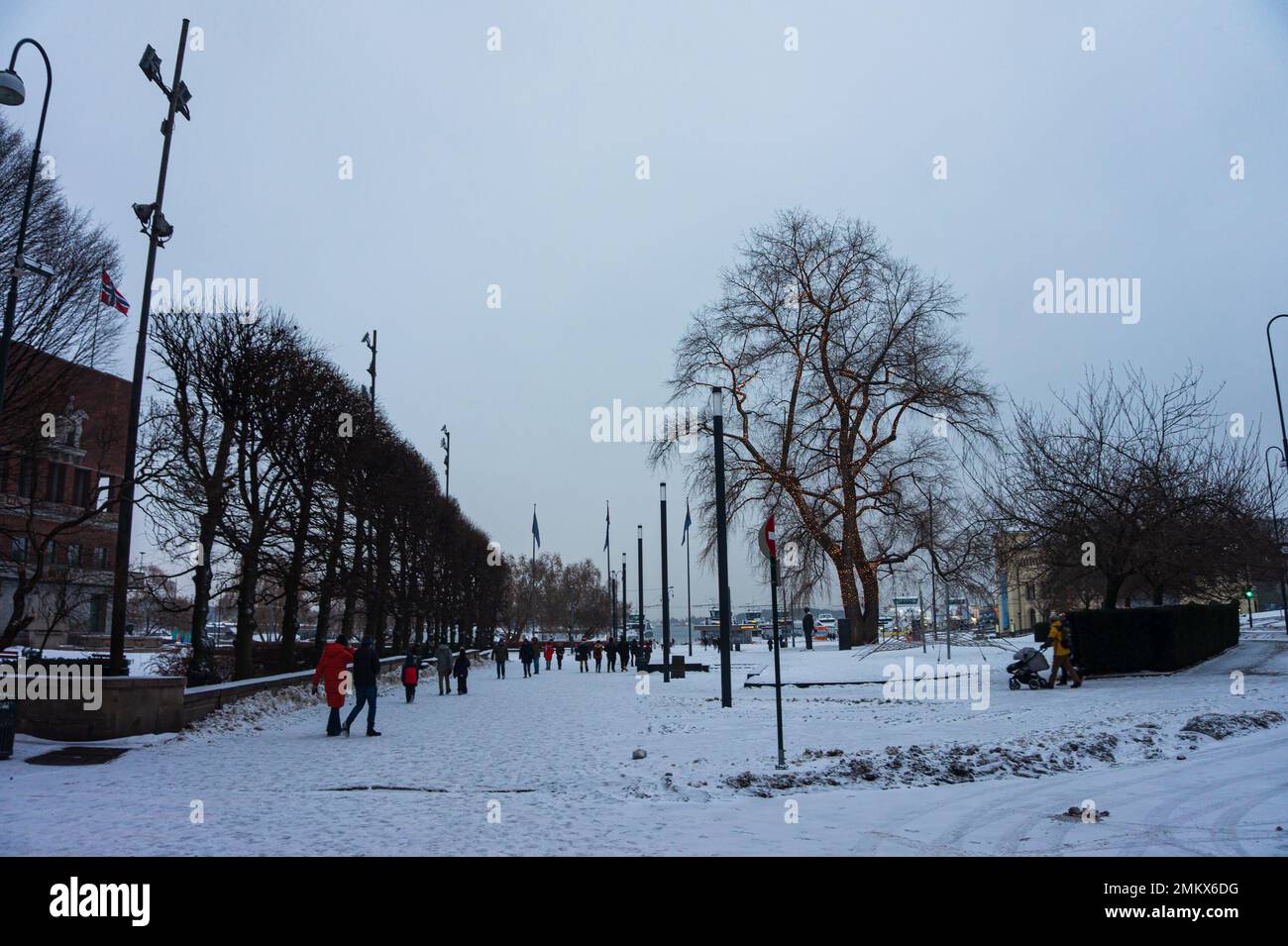 Oslo Snow