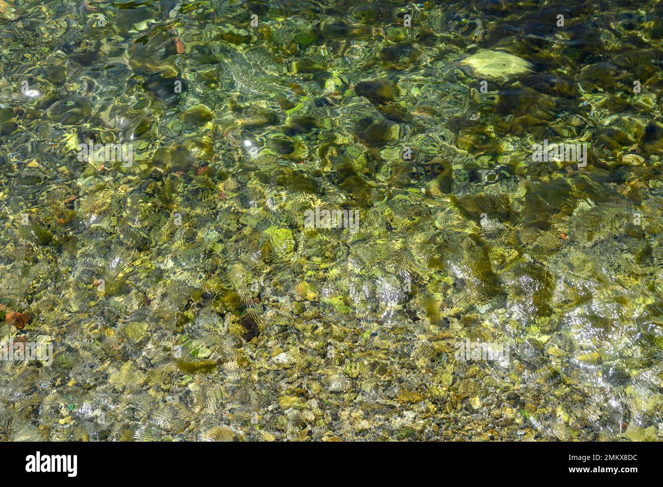 Surface of the sea. Natural texture of sea water. Ocean water ...