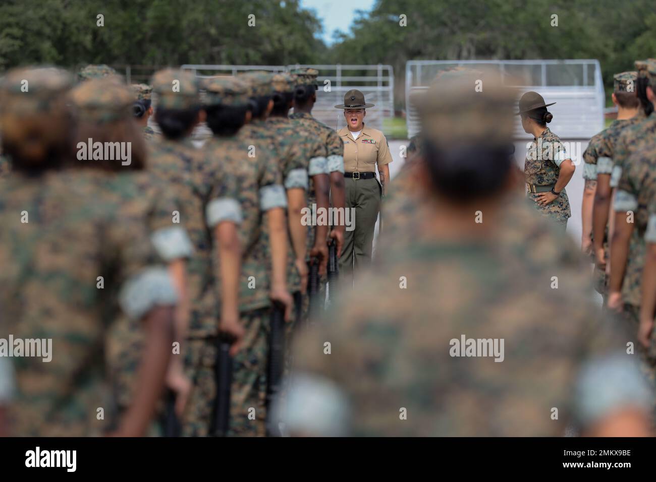 A senior drill instructor with Echo Company, 2nd Recruit Training ...