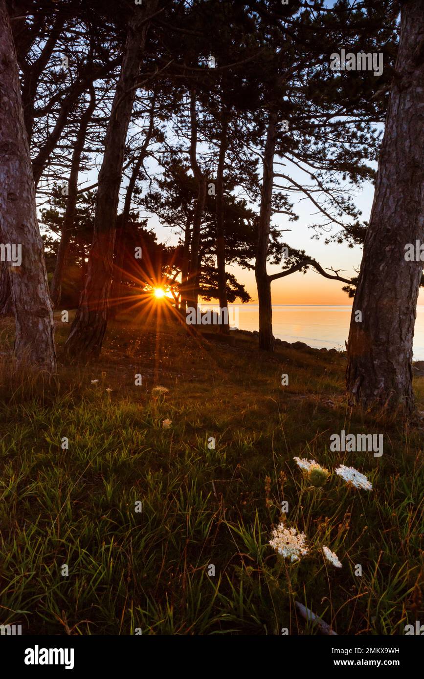 Helganaes hi-res stock photography and images - Alamy