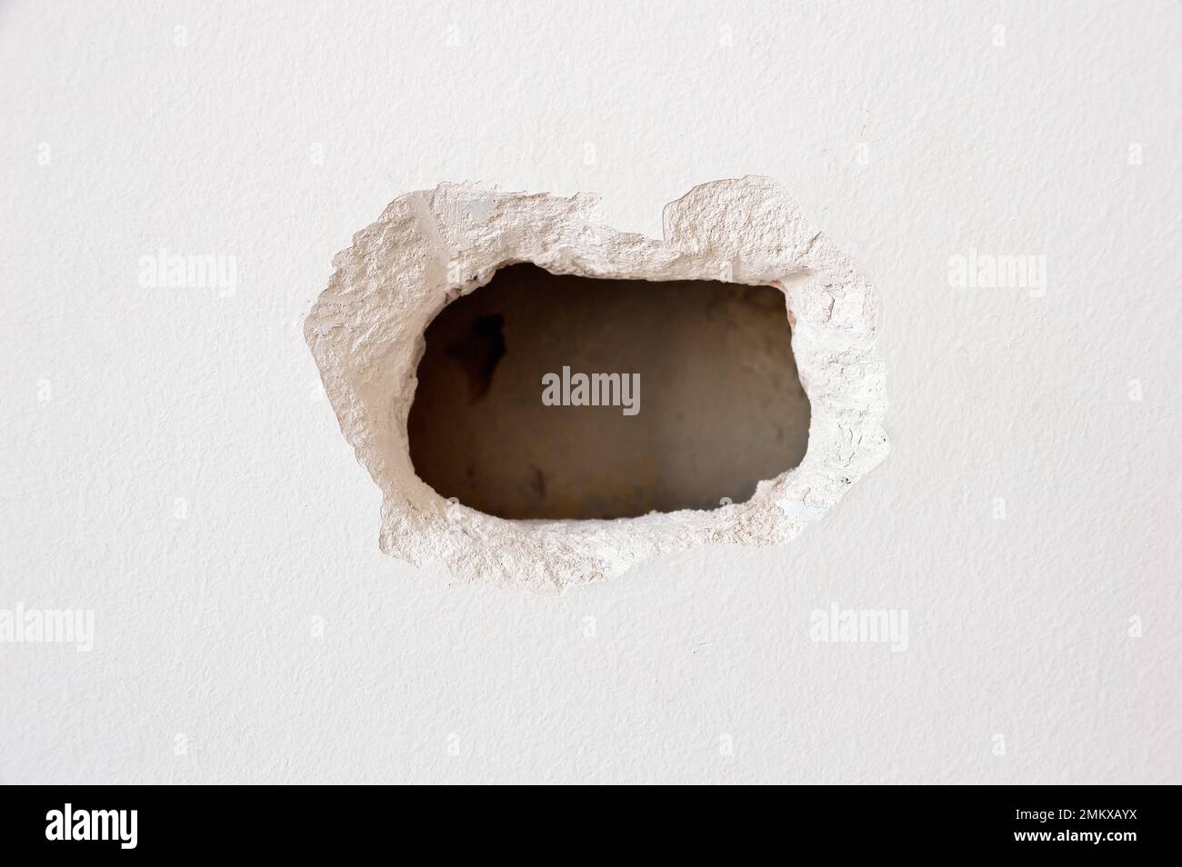 Shell inside structure hi-res stock photography and images - Alamy