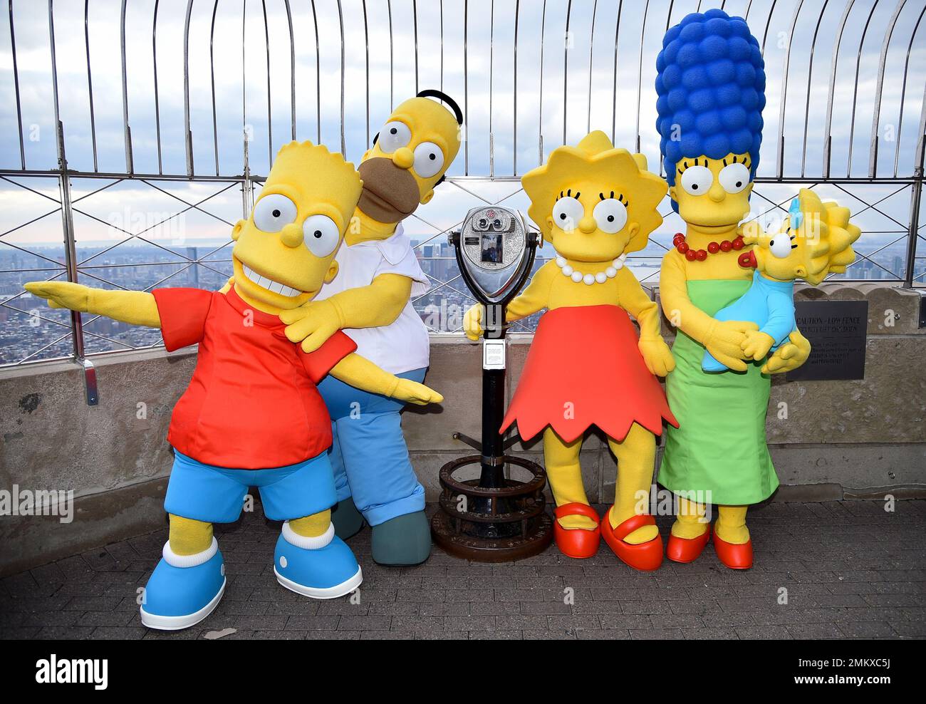 The Simpsons Characters Lisa