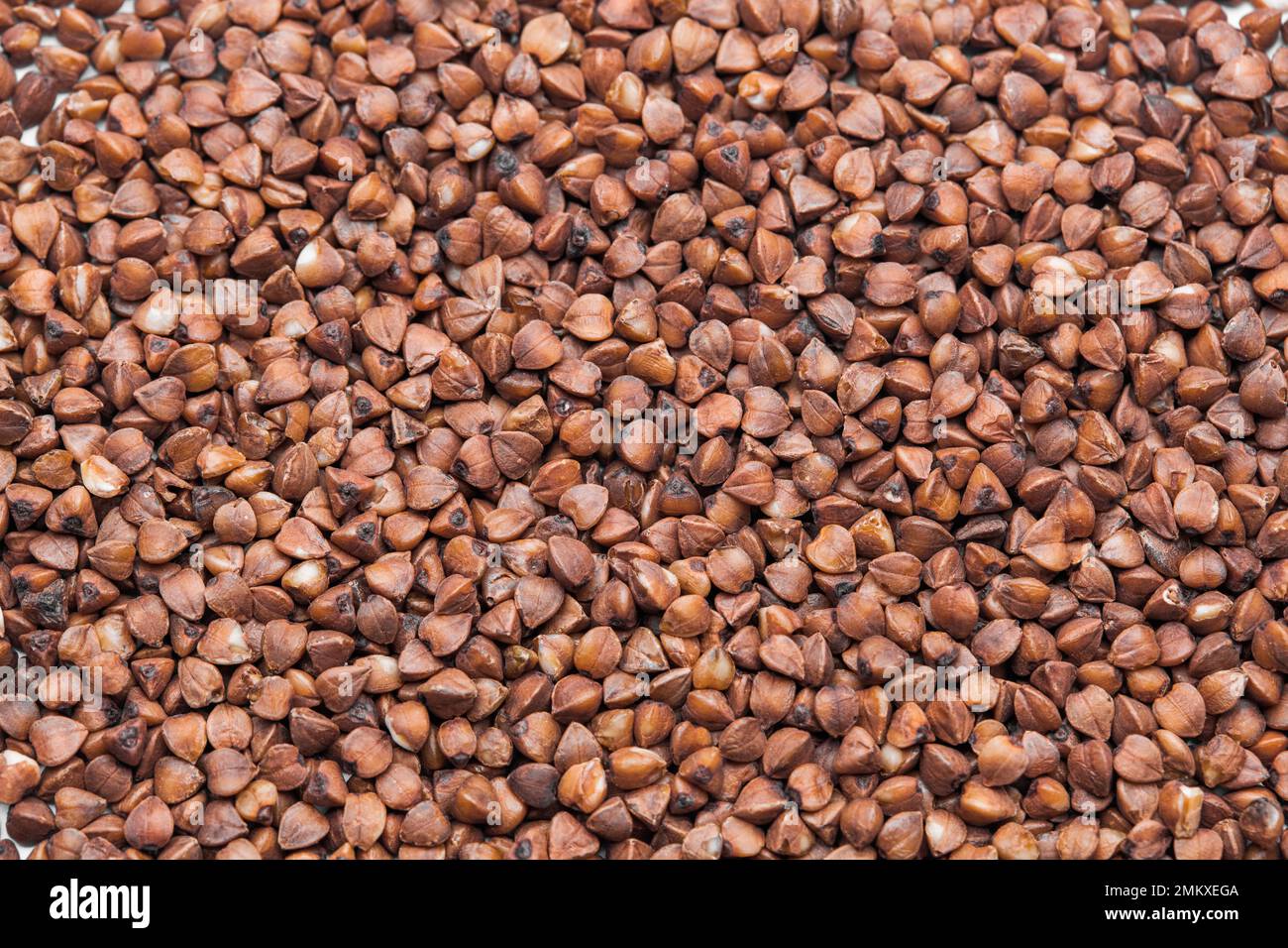 Buckwheat seed hi-res stock photography and images - Alamy