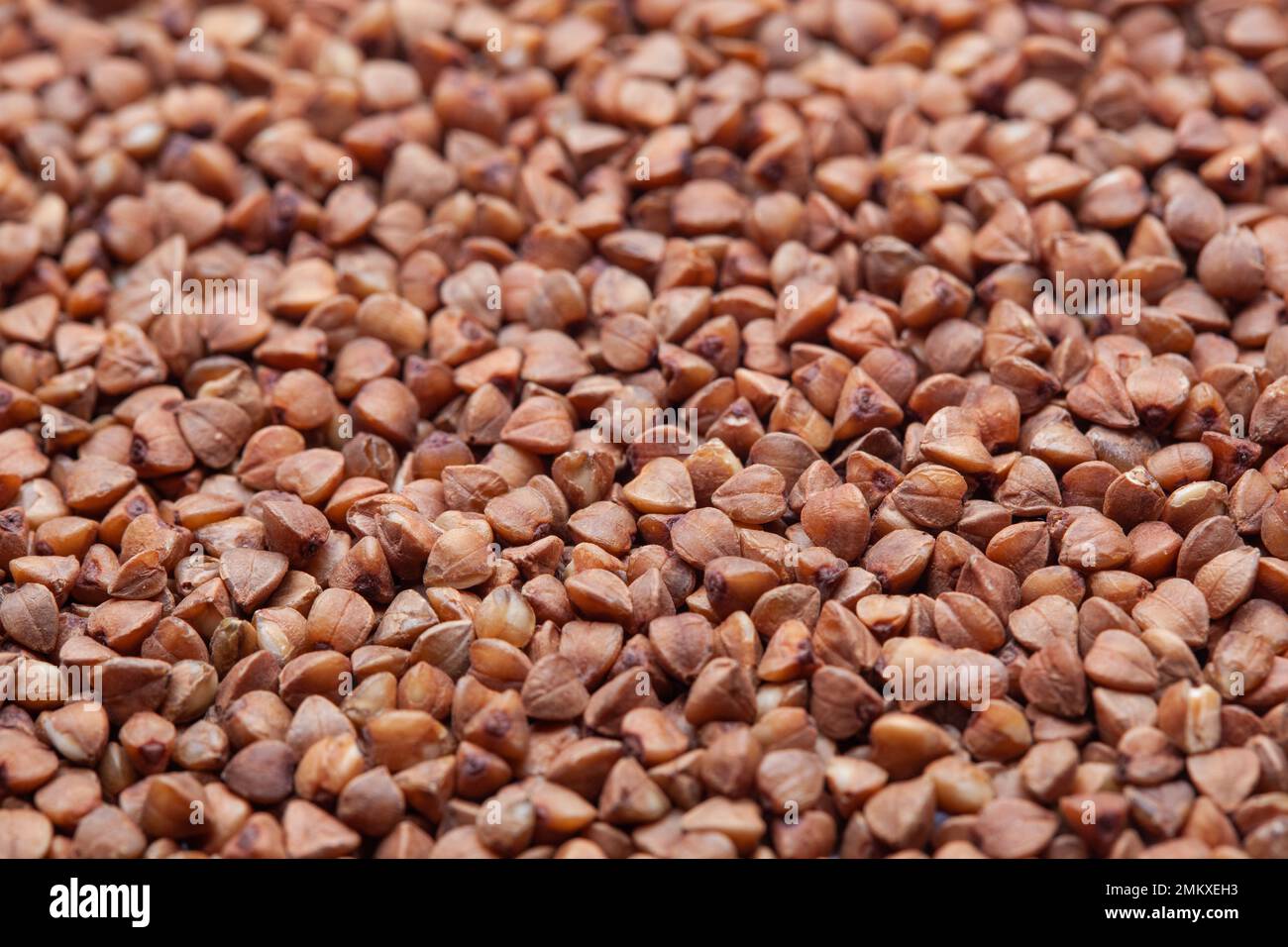 Buckwheat seed hi-res stock photography and images - Alamy