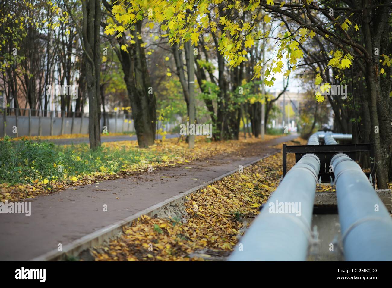 Metal pipes on the street. pipes from the pipeline. gas pipeline for ...