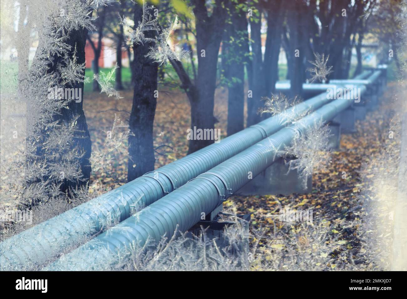 Metal pipes on the street. pipes from the pipeline. gas pipeline for ...