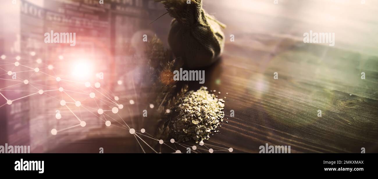 The concept of the cost of grain. 5000 ruble banknotes around a handful ...