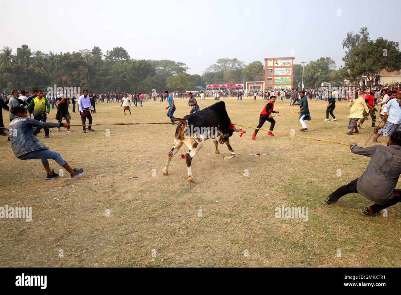 Bangladesh traditional game hi-res stock photography and images - Alamy