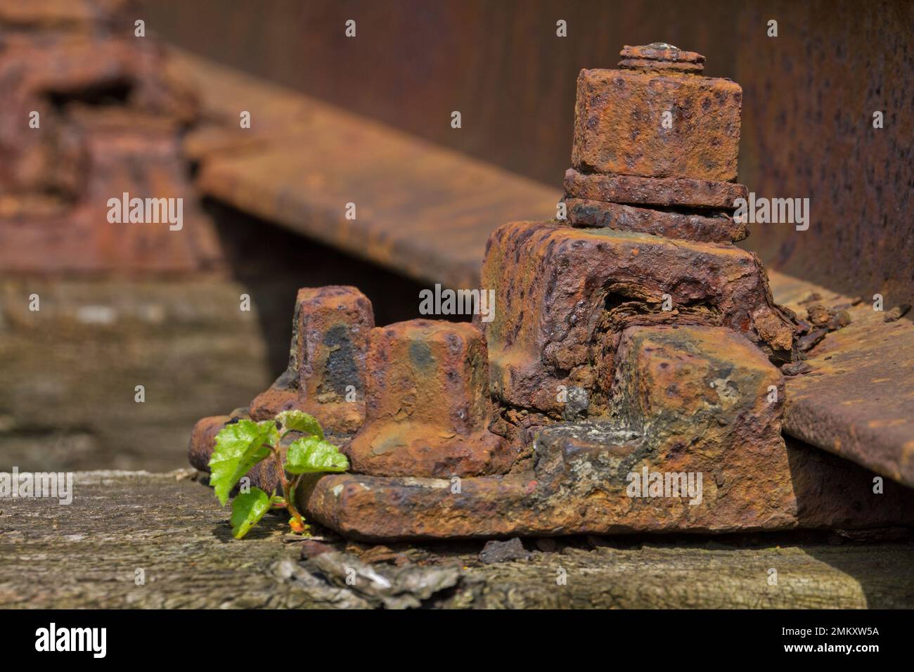 Disused railway tracks hi-res stock photography and images - Alamy