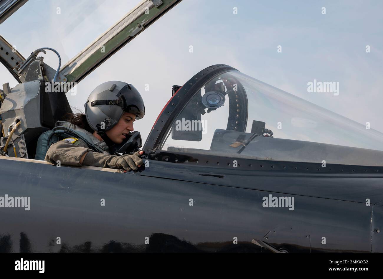 A U.S. Air Force pilot assigned to the 2d Fighter Training Squadron ...