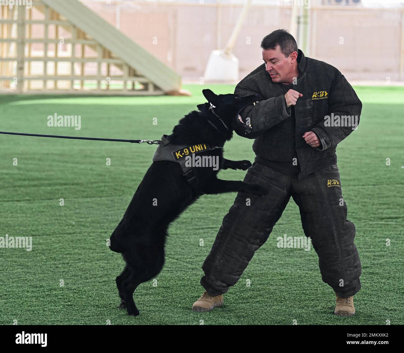 Tomi, a military work dog with the 379th Expeditionary Security Forces ...