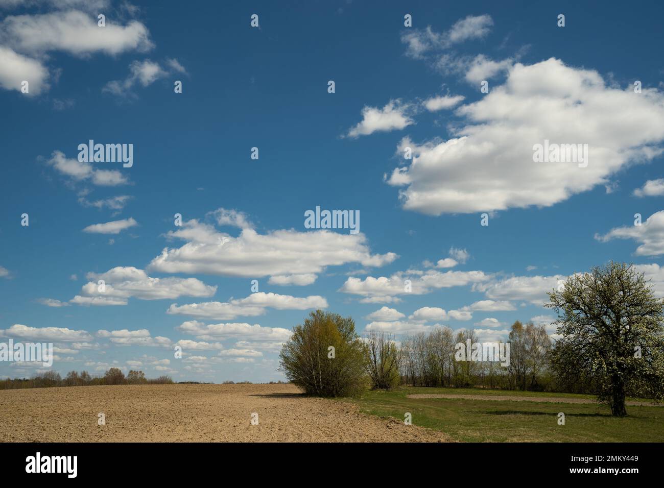 beautiful landscape of blue sky with clouds and field in Ukraine Stock ...