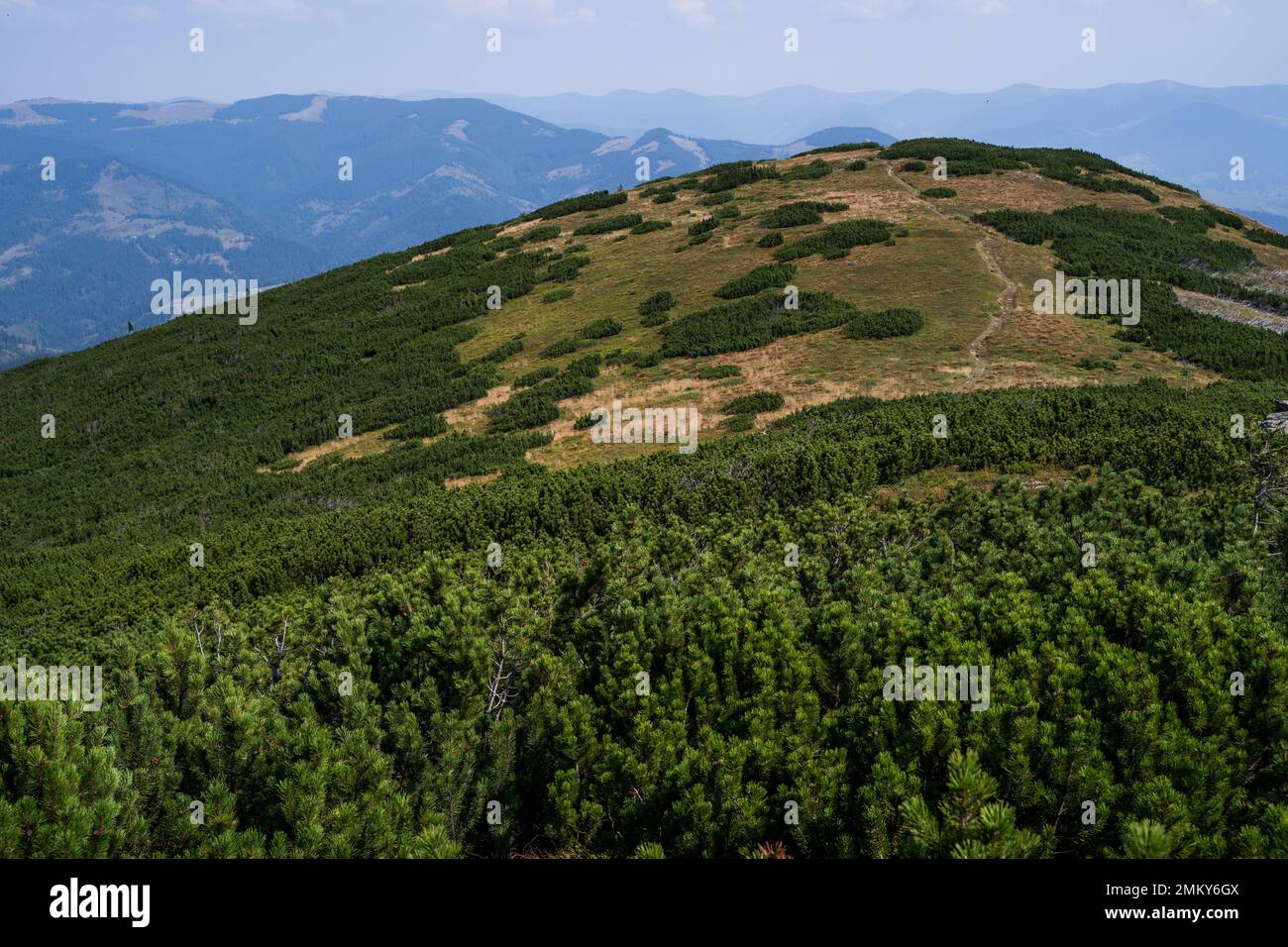 beautiful landscape mountains Carpathians in the Ukraine Stock Photo ...