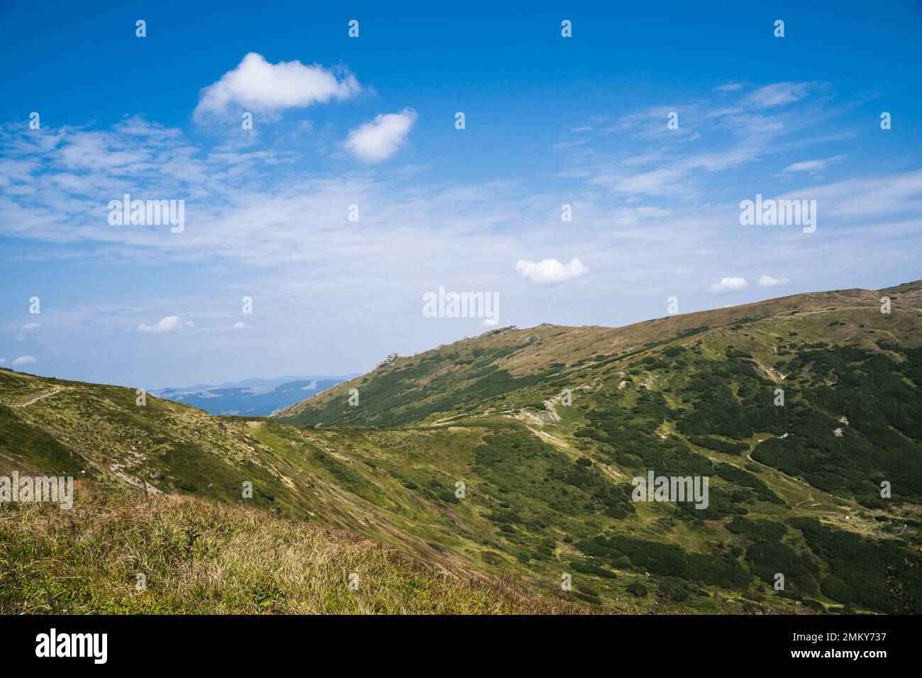 beautiful landscape mountains Carpathians in the Ukraine Stock Photo ...