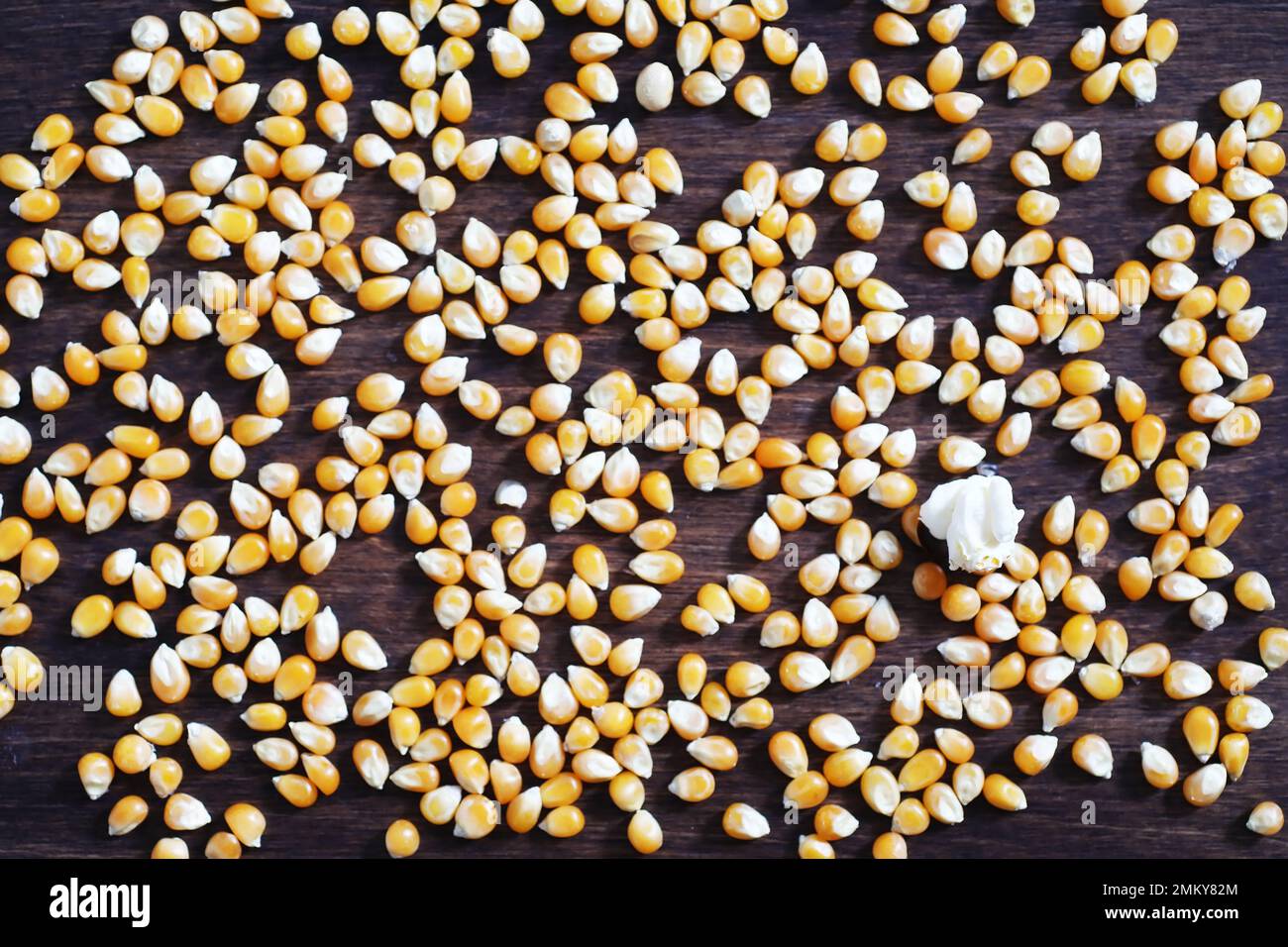 Group of yellow raw corn kernels sweet corn. Grain seeds ingredient ...